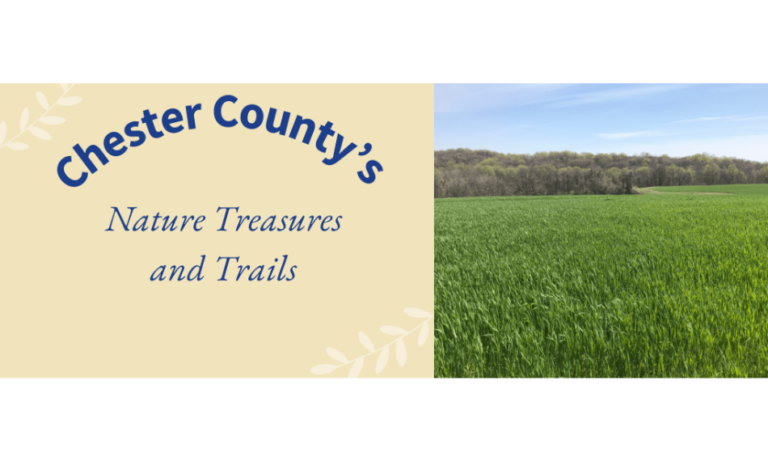 Exploring West Chester: Trails, Preserves, & Wellness Walks